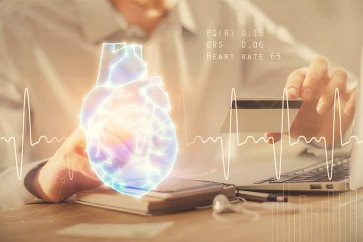 Basic Anatomy of the Human Heart | Capitol Cardiology Associates